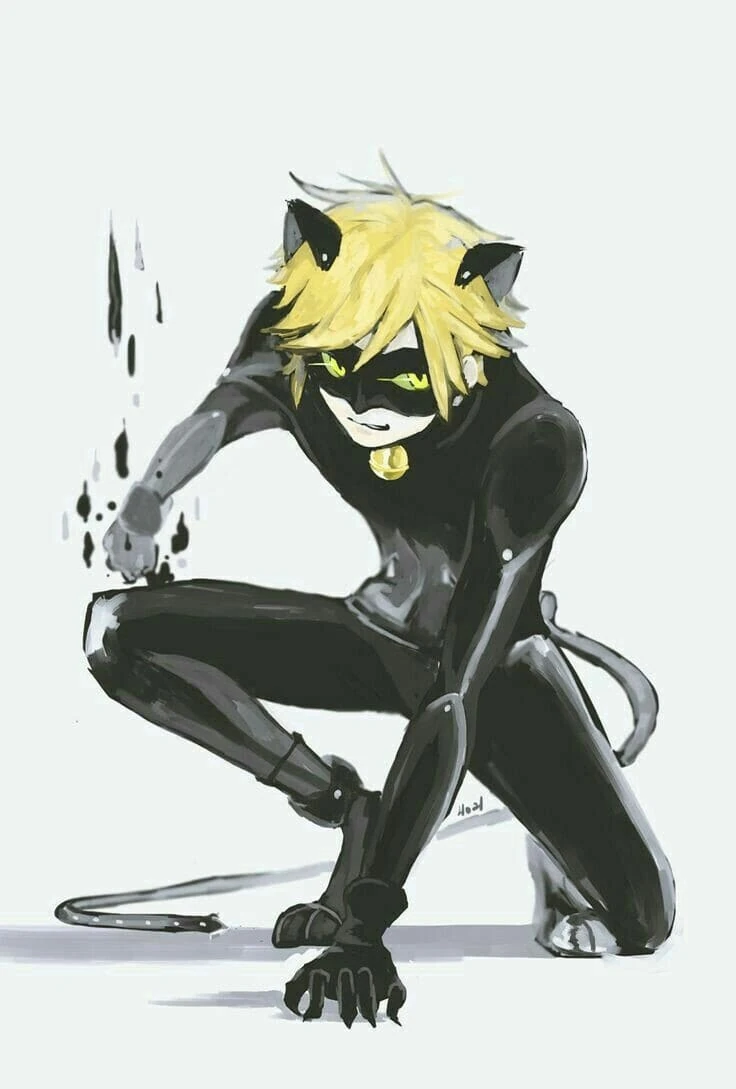 Cat noir | Fandom