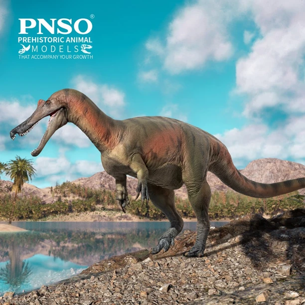 New PNSO just parachuted in! | Fandom