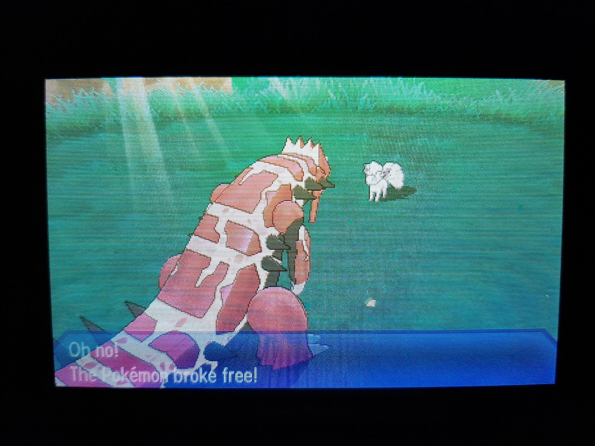 Late night Shiny Duo!? | Fandom