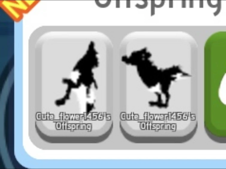 Discuss Everything About Feather Family Wiki | Fandom