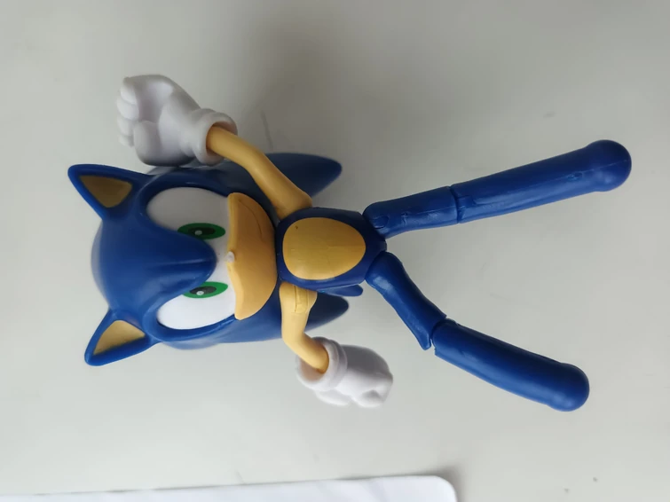 I've always wondered how Sonic looked like without his shoes... | Fandom
