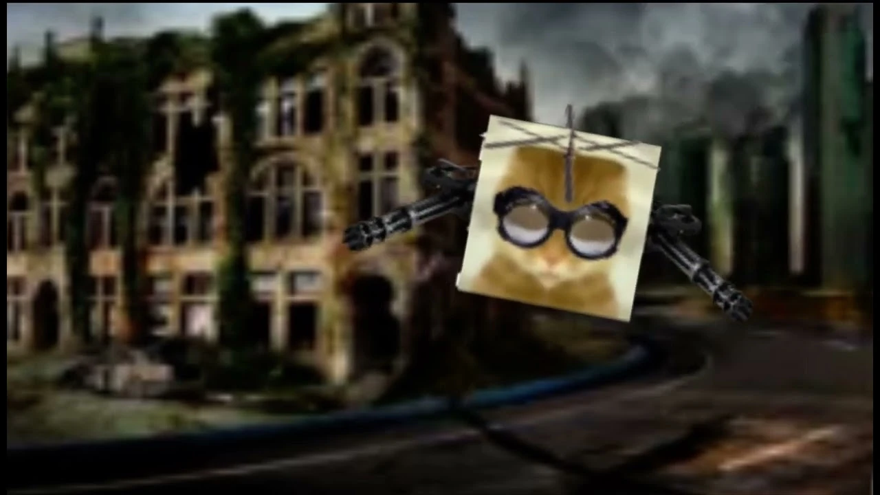 Boppity cat 23 just resleased how cool! | Fandom