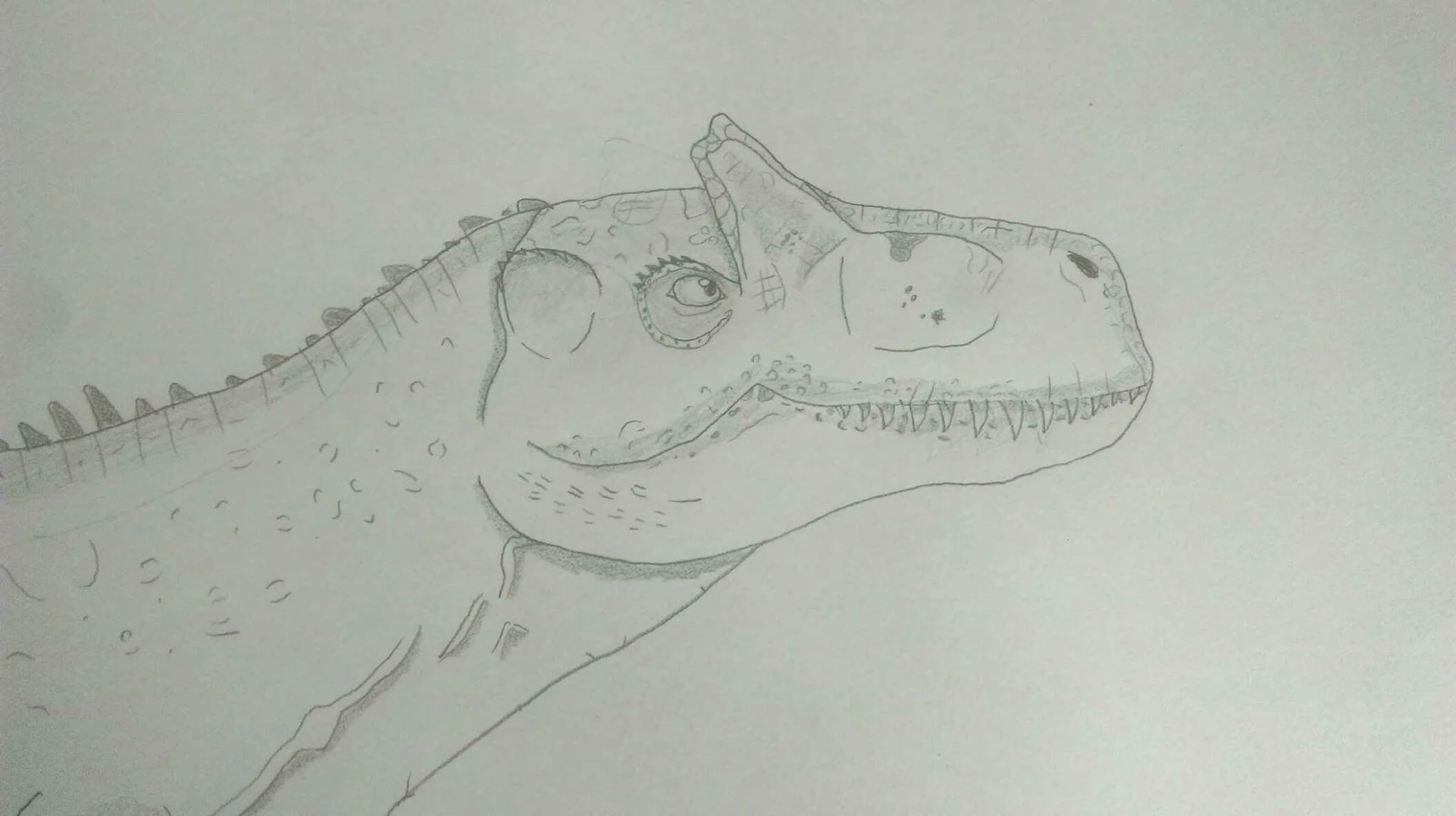 What are your thoughts on the JW Allo? | Fandom