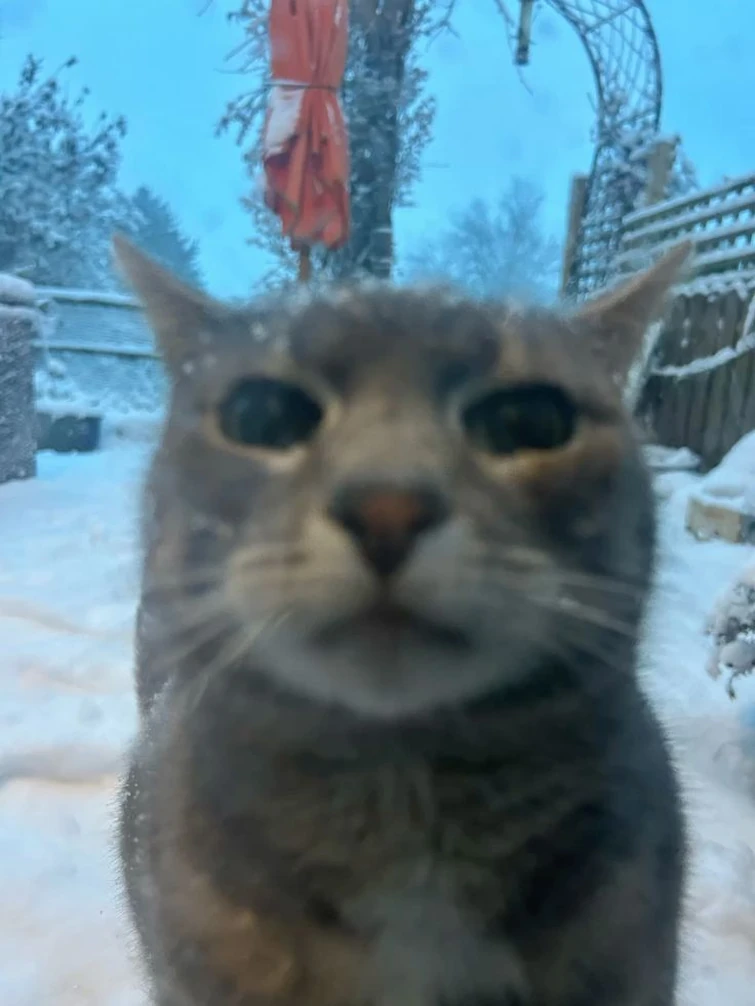 What was the VERY FIRST instance of "Glaggle"? | Fandom