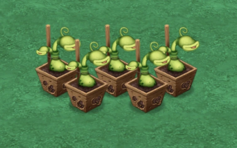 The potbelly garden has started | Fandom