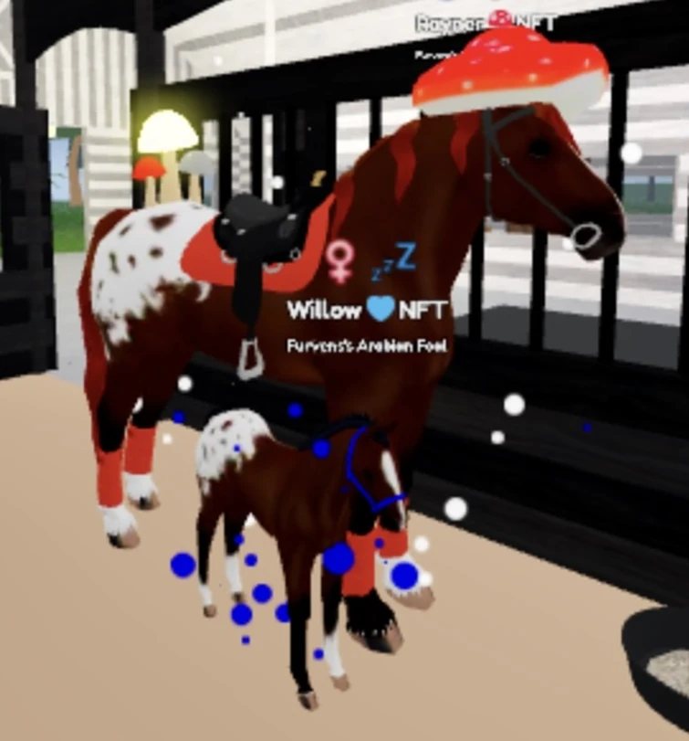 Photoshoot of Willow with her parents (Misty and Rayner) | Fandom