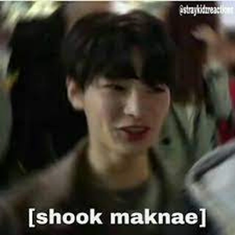 skz memes pt.1 | Fandom