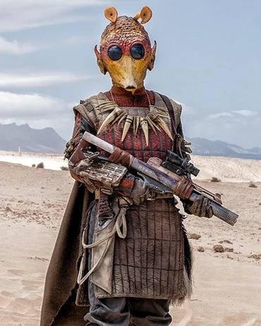 Discuss Everything About Wookieepedia | Fandom