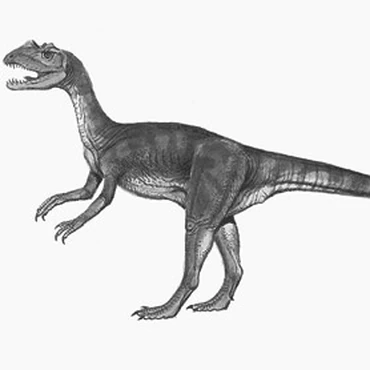 Discuss Everything About Dinopedia | Fandom