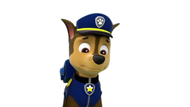 Chase Transparent | Fandom