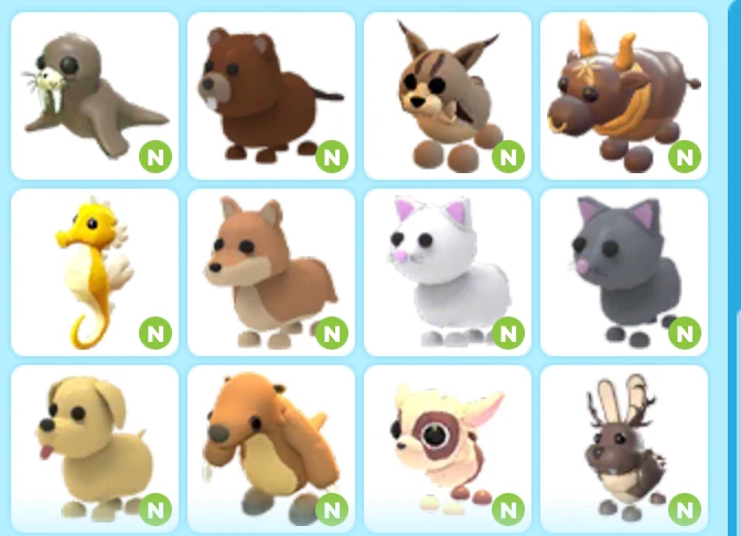 LF: Ride pets! | Fandom