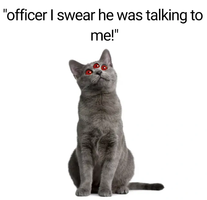 Silly meme I made hehe silli | Fandom