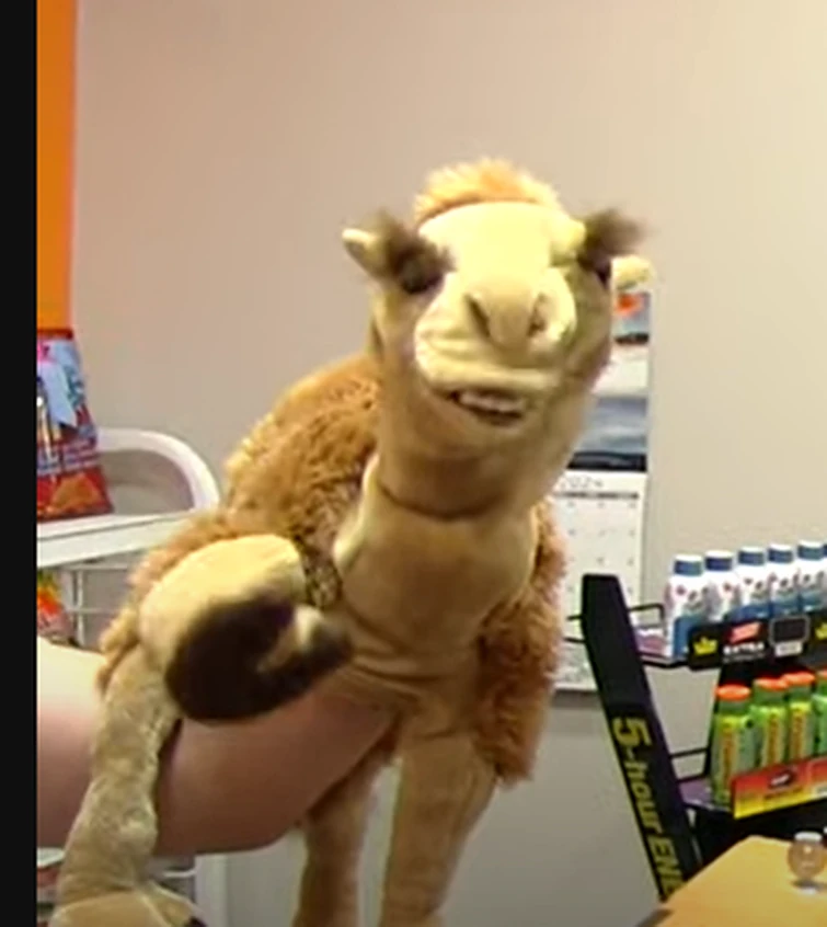 YESSSSSSSSSSSSS | Fandom