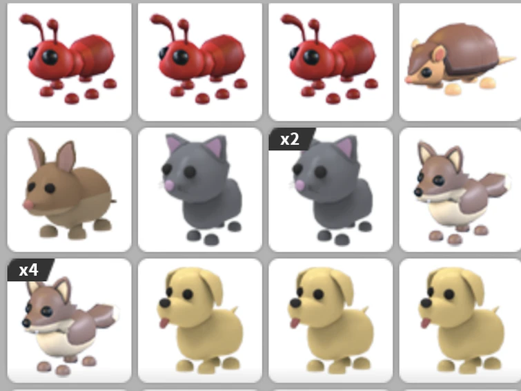 Discuss Everything About Adopt Me! Wiki | Fandom