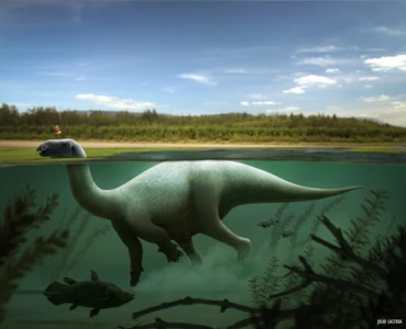 Discuss Everything About Dinopedia | Fandom