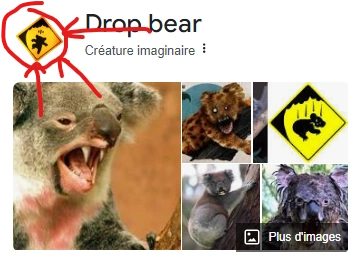 I just dicover if you search Drop bear on google you will get a cool ...