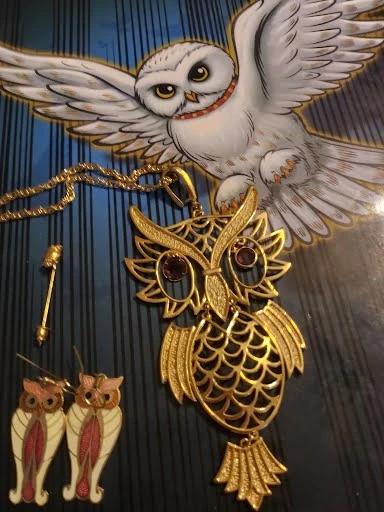 I am the NEW OWL LADY | Fandom