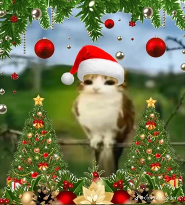 the best meowl? | Fandom