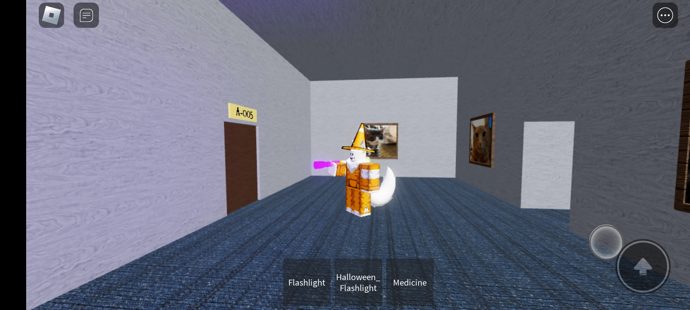 Omg cat flashlight | Fandom