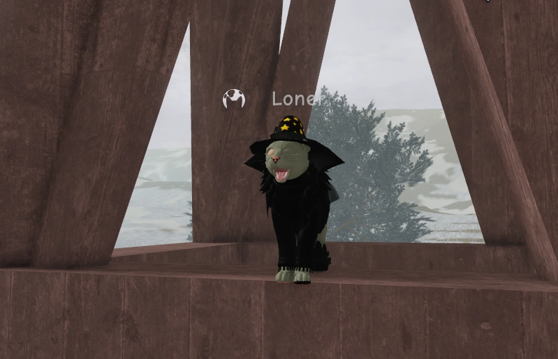 OMG ELPHABA CAT? | Fandom