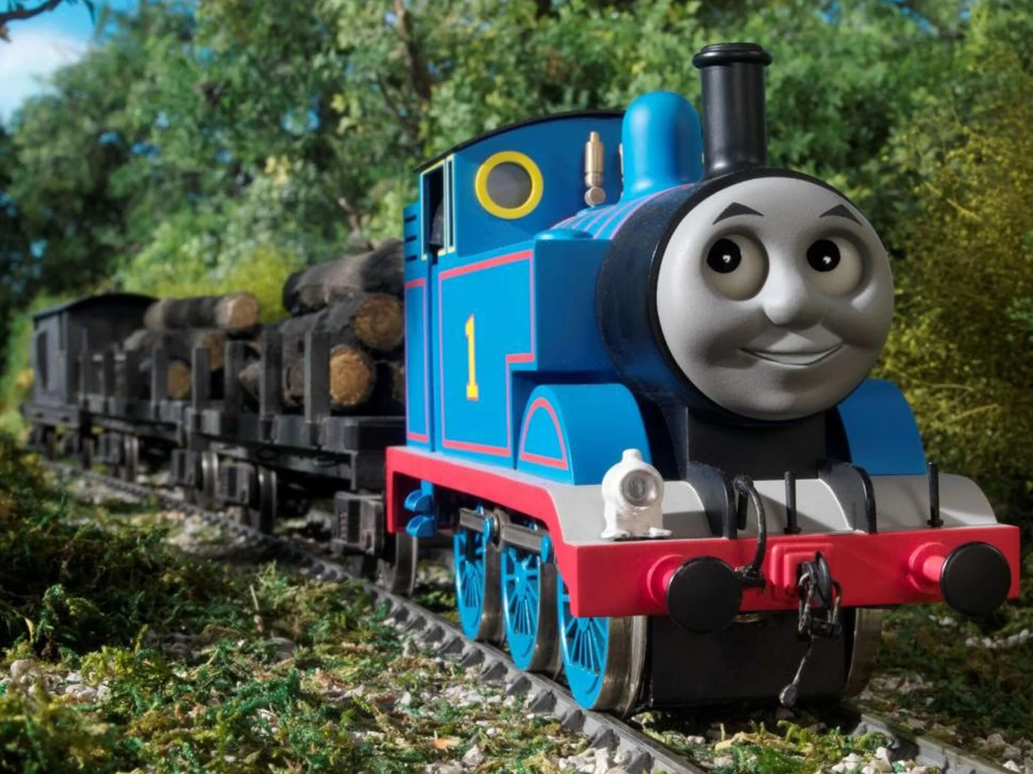 Caption This Thomas Picture! | Fandom