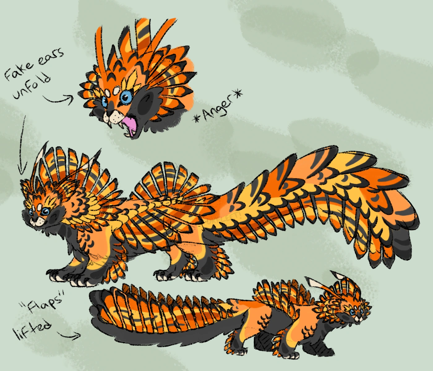 Repost of concept thing | Fandom