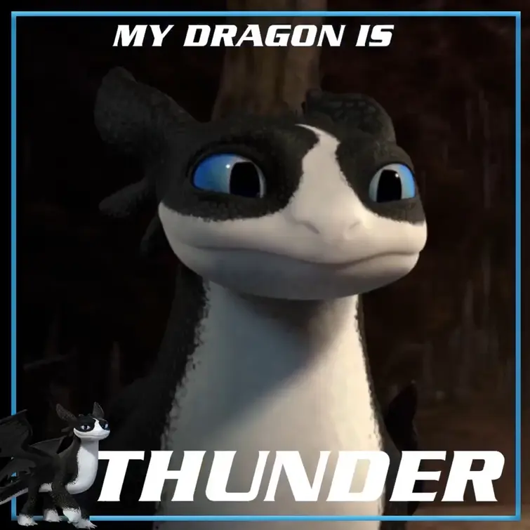 What do you like BEST about Thunder? | Fandom