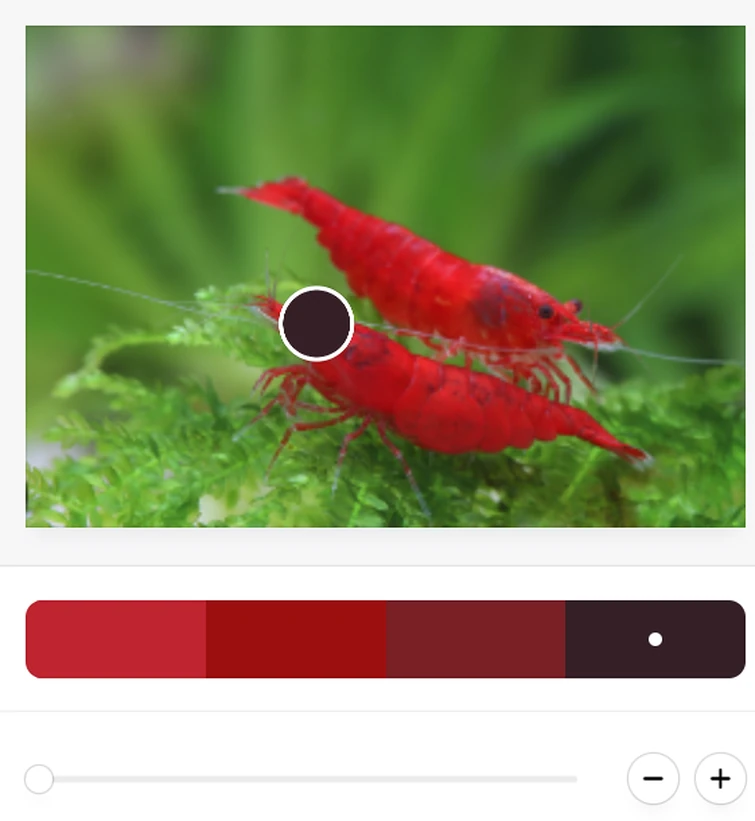 UPDATE ON SHRIMPS! | Fandom