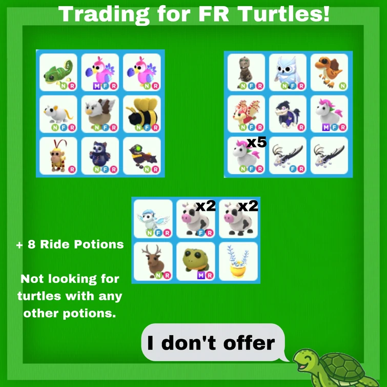 Looking for FR turtles again 😍 | Fandom