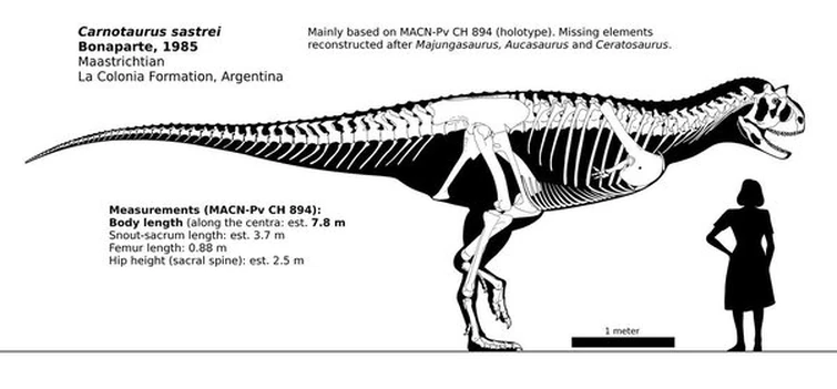 Majungasaurus was? (Edition of Behavior in their environment) | Fandom