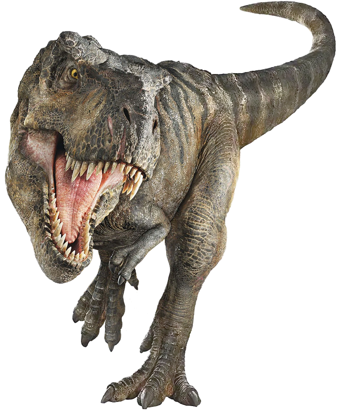 genuinely stop replacing the new Ember render with the old one | Fandom