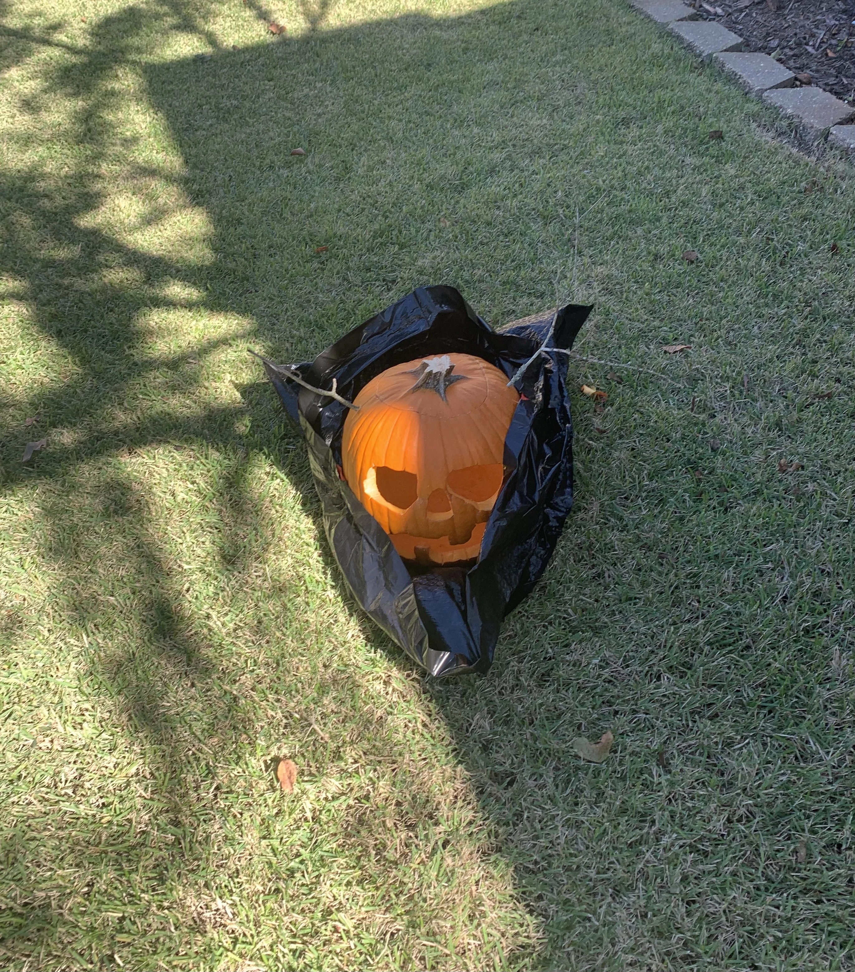 update on my Dusekkar pumpkin | Fandom