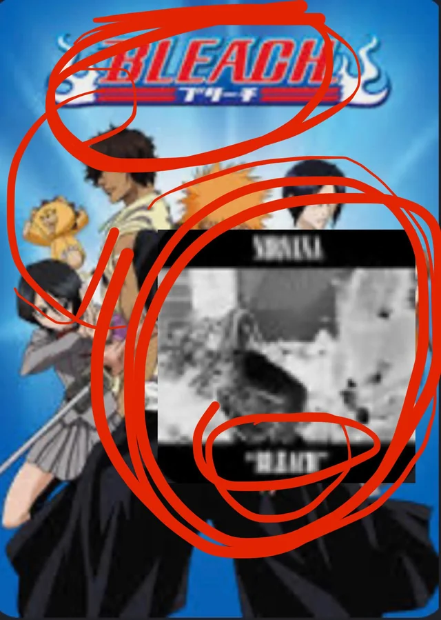 i LOV NERVANER !! BLEACH ALBMUM !!! REFERENC | Fandom