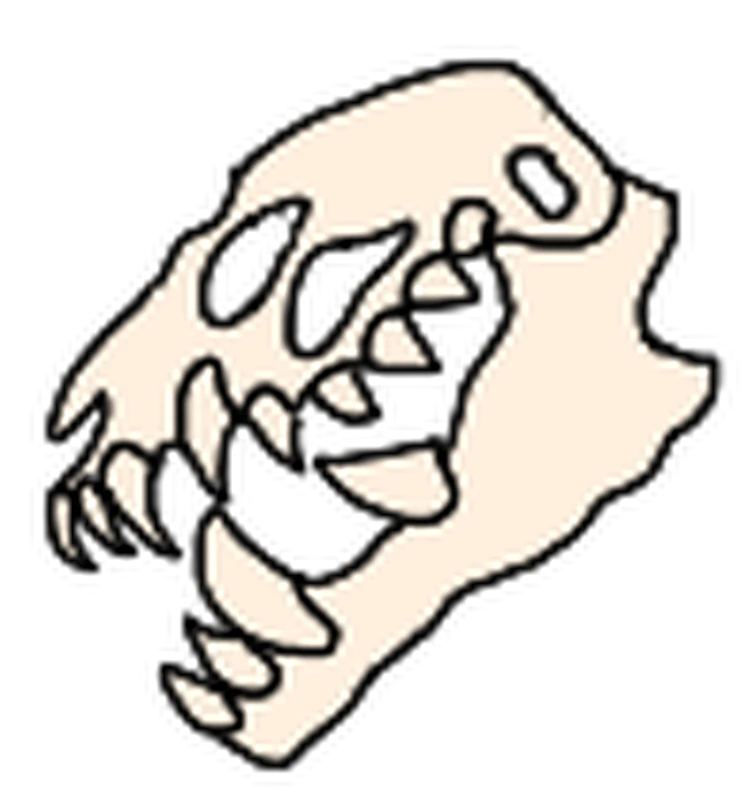 hello people of the see oh ess wiki | Fandom