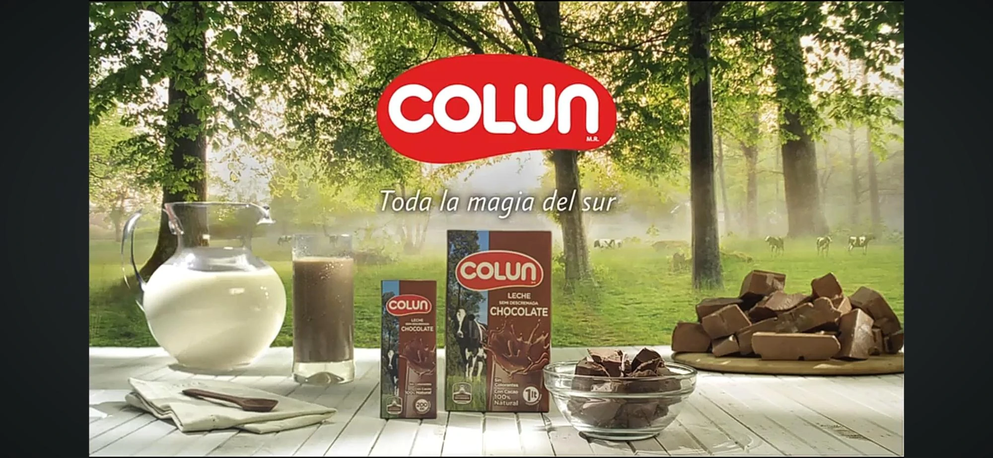 Colun Leche Con Chocolate | Fandom