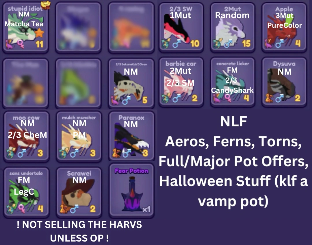 Trading/Swapping Junk | Fandom