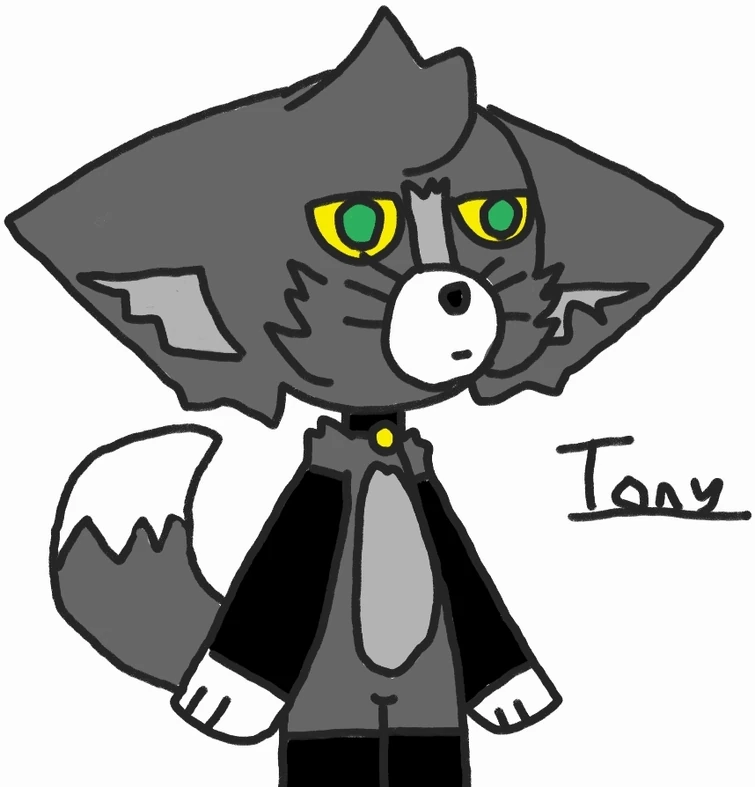 Tom as a _kit community OC/fursona | Fandom
