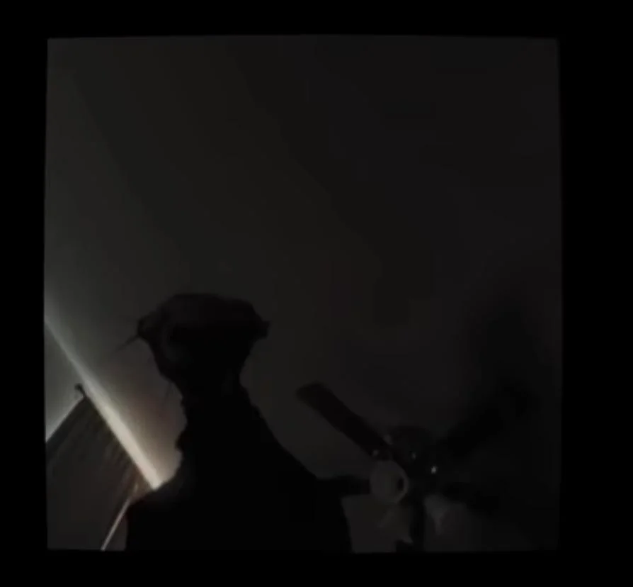 RP: Operation Phento (Phase Two) | Fandom