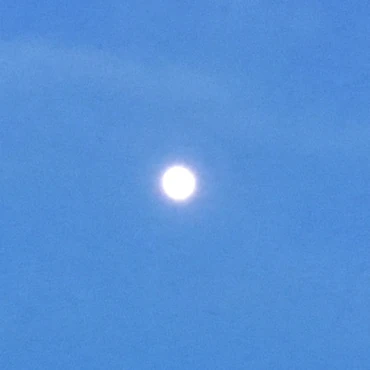 It this a moon or a sun | Fandom