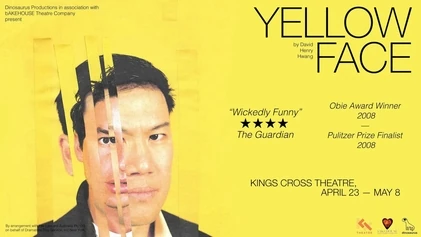 YELLOW FACE WIKIPEDIA ARTICLE | Fandom