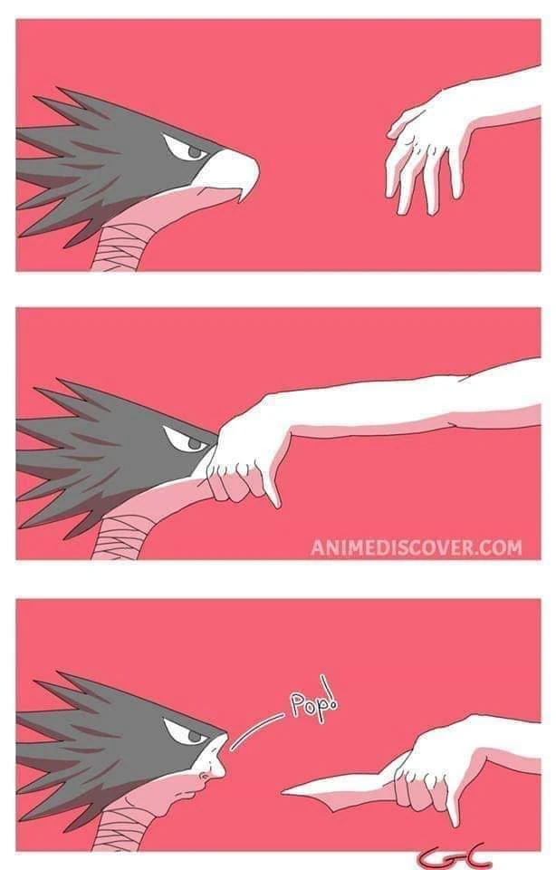 A very Cursed Tokoyami image | Fandom