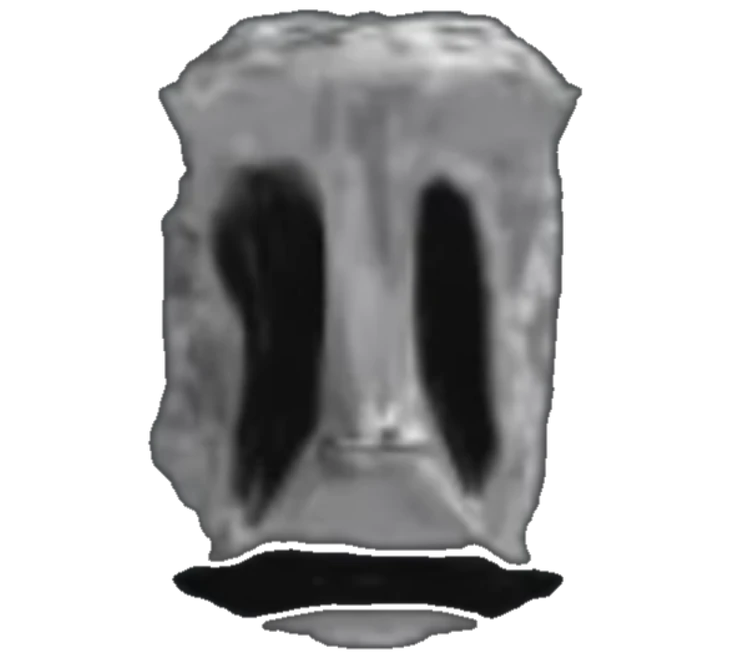 New entity origin image | Fandom