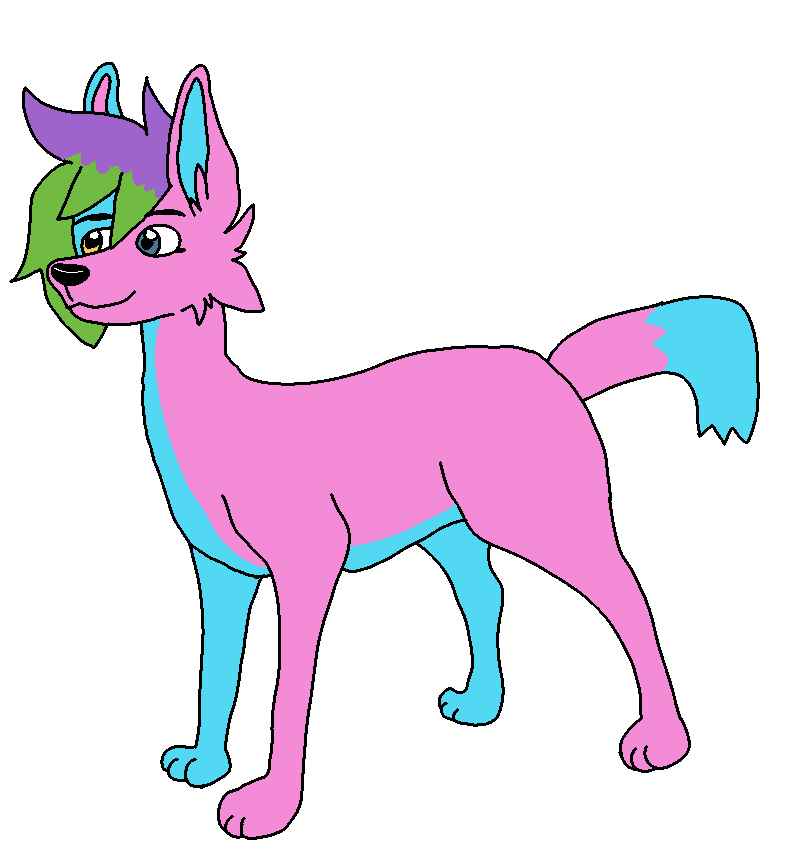 My Oc In Dingo Pictures Style | Fandom