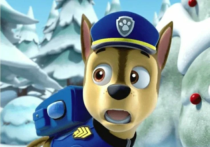 Chase priceless reaction | Fandom