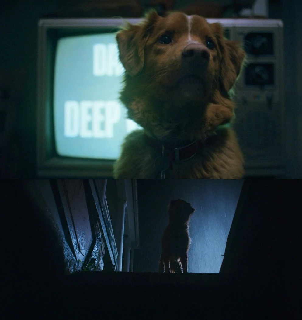 First look images from ‘GOOD BOY’ | Fandom