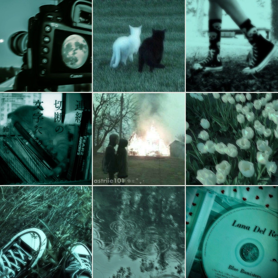 give me moodboard requests | Fandom