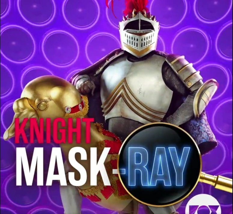 New US Costumes - Knight & Panther | Fandom