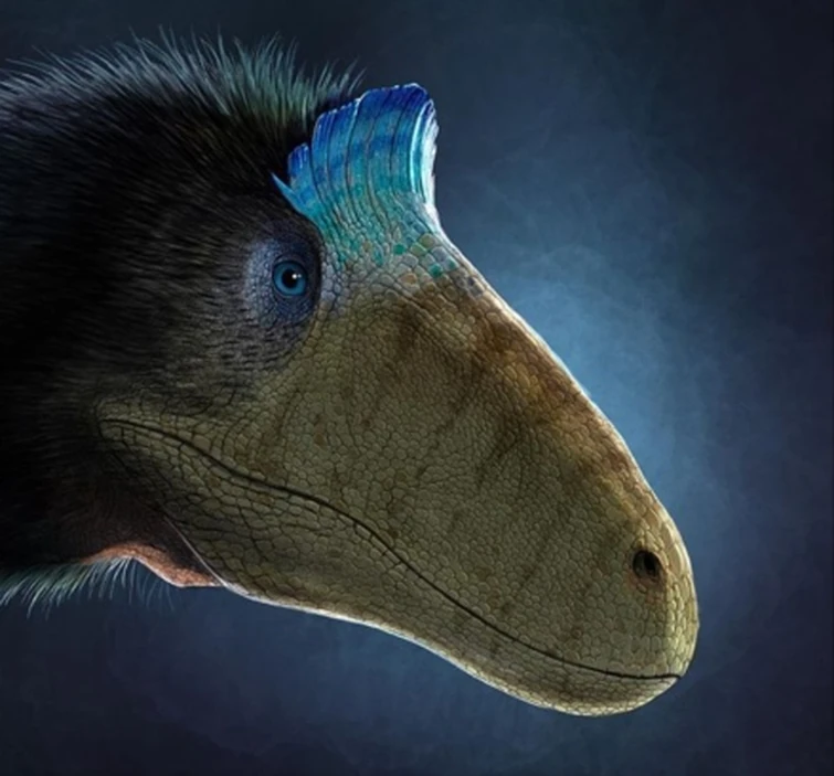 Paleo exhibit | Fandom