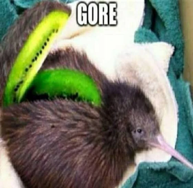 Offer me Rodger artworks | Fandom