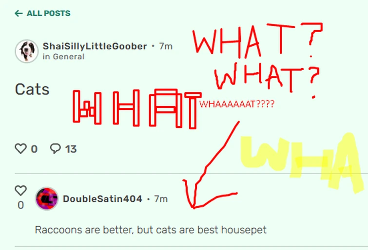 WHAAAAAAAAAT???!!! | Fandom